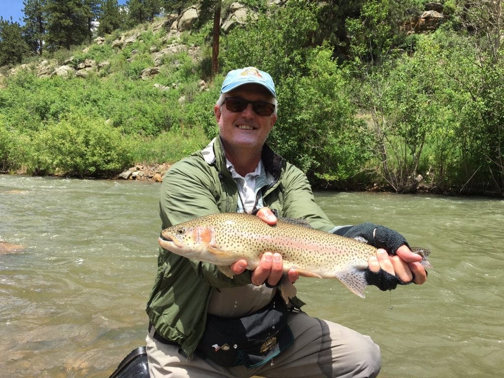 cowlbeck | Billboard Insider™