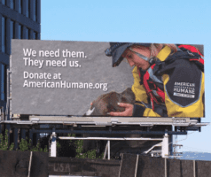 Tis the Season for Public Service | Billboard Insider™