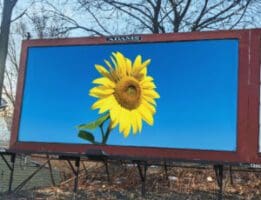 Adams Outdoor Supports Ukraine with Sunflower Billboard | Billboard ...