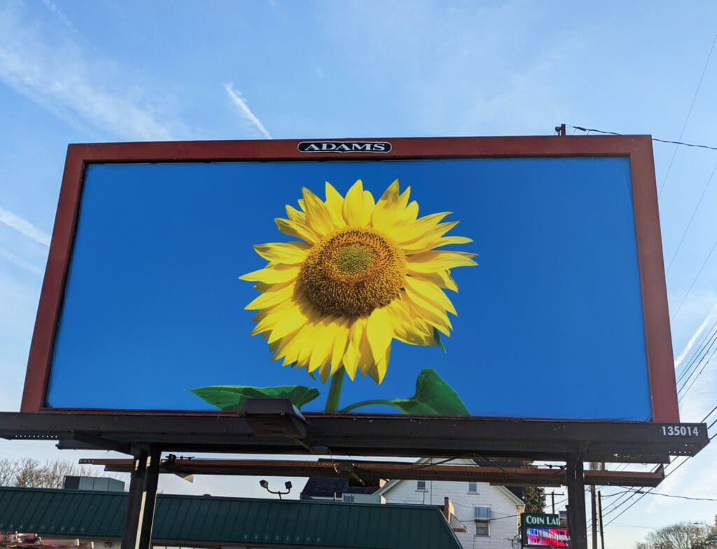 Adams Outdoor Supports Ukraine with Sunflower Billboard | Billboard ...