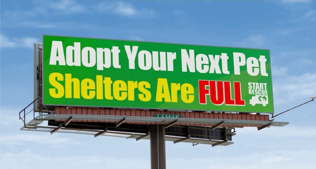 Billboard Connection Promotes Animal Adoption | Billboard Insider™