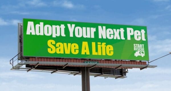Billboard Connection Promotes Animal Adoption | Billboard Insider™