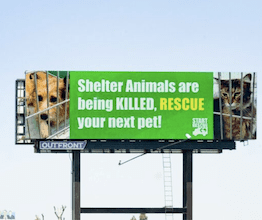 Billboard Connection Promotes Animal Adoption | Billboard Insider™