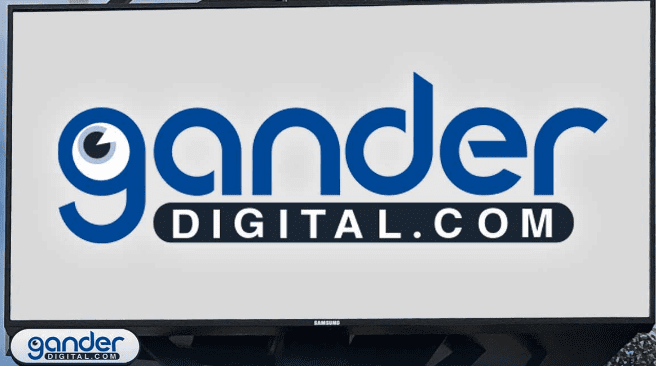 Company of the Day – Gander Digital | Billboard Insider™